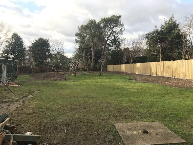 Garden Clearance in Harrow | T's Trees